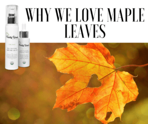 Why We Love Maple Leaves - Age-Defying Beauty Made Easy