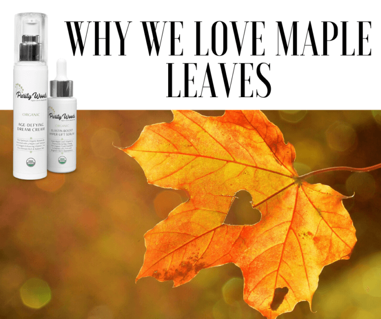 Why We Love Maple Leaves - Age-Defying Beauty Made Easy