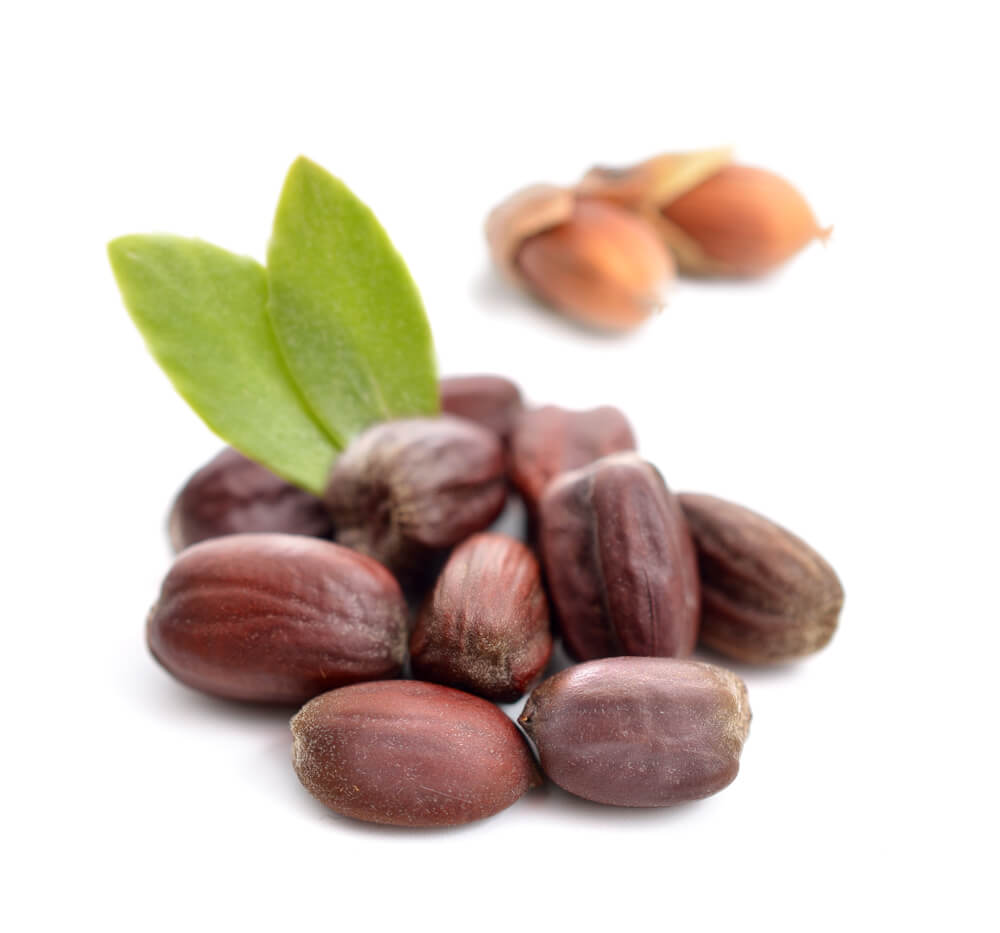 9 Unique Benefits of Jojoba Oil for Skin - Age-Defying Beauty Made Easy